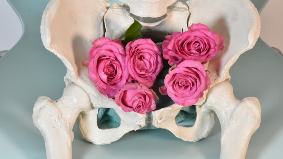 Beckenbodentraining - Praxis in der Klenze - Physiotherapie München